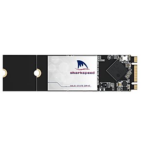 64GB Internal SSD M.2 2280 NGFF SHARKSPEED Plus 3D NAND SATA III 6 Gb/s,Internal Solid State Drive for Notebooks Desktop PC (M.2 2280 64GB)