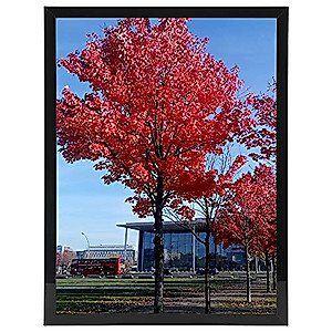 Medog 10x12 Picture Frame Black 10 by 12 Inch Black Picture Poster Frame, Smooth Finish, Non-Glass Without Mat for Display Certificate/Photo 10x12 for Wall Mount Frames (P1E 1012 1P)