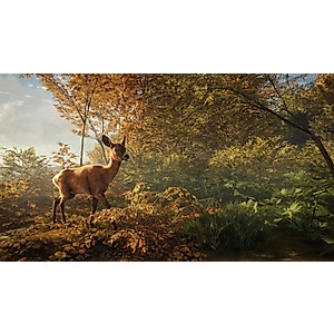 theHunter: Call of the Wild - PC