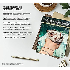 Doug the Pug 2021 Engagement Calendar (Dog Breed Calendar)