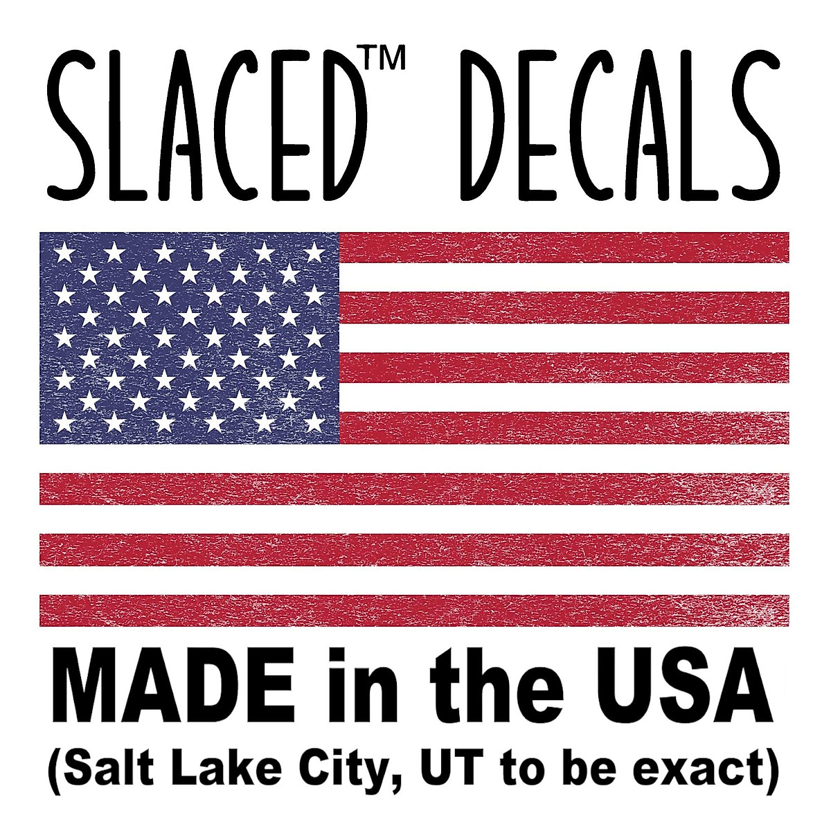 Sasquatch, Bigfoot, Hide and Seek Champion Decals (Black, Large ~5")