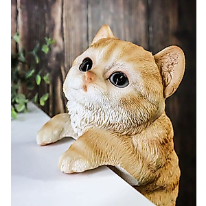 Ebros Lifelike Pot Pal Hanging Orange Tabby Cat Statue 8" Tall with Glass Eyes Hand Painted Realistic Feline Cat Decor Figurine Cats Kittens Kitties Animal Pet Sculpture Garden Patio Decorative