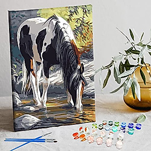 Rasugarlary Paint by Numbers for Adults Beginner, DIY Horse Paint by Numbers Kits on Canvas, Oil Painting Paintworks Acrylic Painting by Numbers Kits with for Home Decor Gift 15.7x19.6