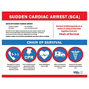 2 Pack: Sudden Cardiac Arrest & Symptoms of Heart Attack and Stroke Poster - Laminated, 17 x 22 inches - Workplace Health and Safety Posters
