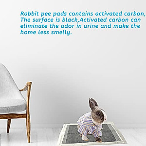 kathson 100 Piece Rabbit Pee Pads,Disposable Pet Pees Pad,Cage Black Carbon Liner,Super Absorbent Leak Proof Cushion Reduce Odor Bunny Training Accessories for Puppy Kitten Hamsters Hedgehog(S)