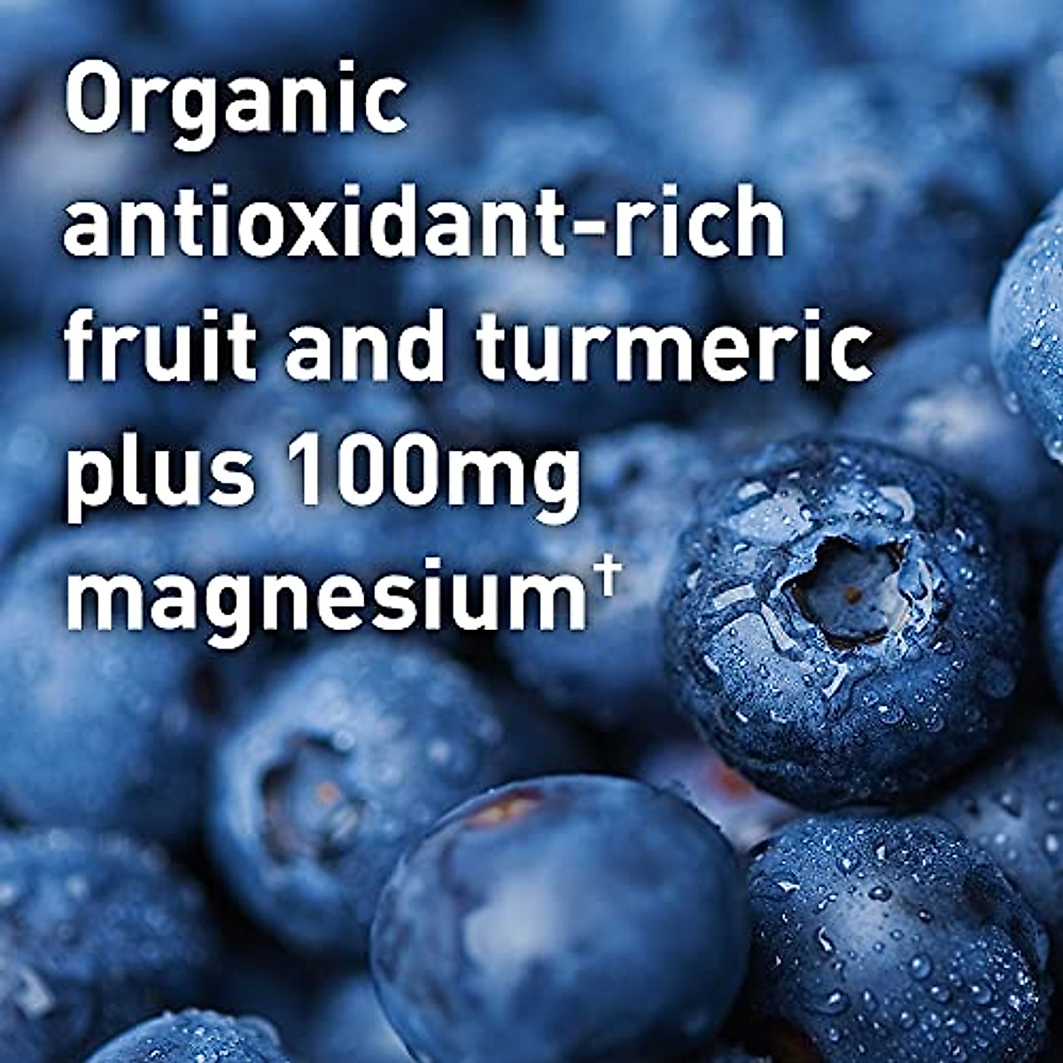 Garden of Life Sport Vegan Organic Plant Based Post Workout Muscle Recovery Powder for Men & Women - BlackBerry Lemonade 30 Servings, 100mg Magnesium, Antioxidants, Supplements, 15.7 Oz