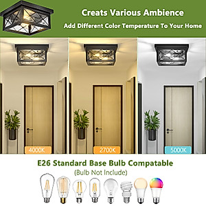 Asnxcju Farmhouse Light Fixtures Ceiling Mount, 2-Light Black Flush Mount Ceiling Light with Clear Glass Shade, Metal Cage Square Close to Ceiling Lamp for Bathroom Kitchen Porch (Bulbs Not Included)