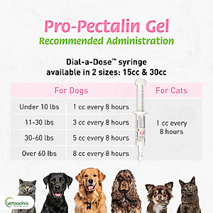 Vetoquinol Pro-Pectalin Oral Paste for Dogs & Cats – Chicken Flavor – Helps Reduce Occasional Loose Stool & Diarrhea, Balance Gut pH, Support Normal Digestion