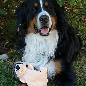 SmartPetLove Snuggle Puppy Tender-Tuffs Crinkle - Large Tough Plush Stuffed Hedgehog Animal Dog Toy with Puncture Resistant Squeaker and Super Strong Seams