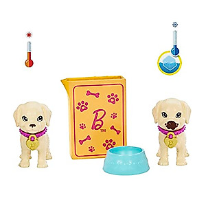 Barbie Pup Adoption Doll & Accessories Set with Color-Change, 2 Pets, Carrier & 10 Accessories, Brunette Doll in Purple Dress