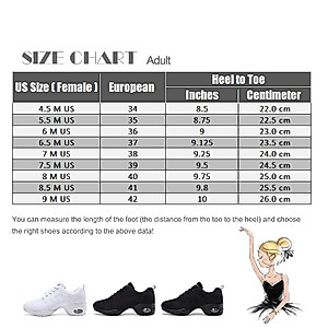 Womens Jazz Shoes Lace-up Sneakers Breathable Mesh Modern Dance Shoes Breathable Air Cushion Split-Sole Outdoor Dancing Shoes Platform Sneakers for Jazz Zumba Ballet Folk Black 40