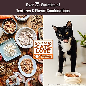 Wellness CORE Grain-Free Wet Cat Food, Natural Canned Food for Cats, (Indoor, Chicken, 3 oz Cans, Pack of 12)