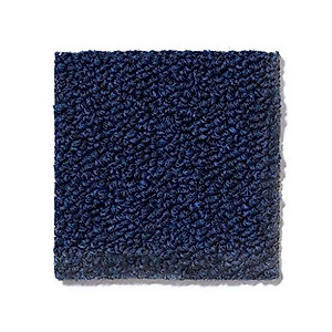 Home Queen Indoor Outdoor Commercial Navy Color Area Rug - 6'x8'