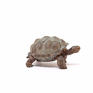 Schleich Wild Life Realistic Exotic Galapagos Giant Tortoise Figurine - Wild Animal Figurine Giant Tortoise Toy for Wildlife Play and Imagination for Toddlers Boys and Girls, Gift for Kids Age 3+