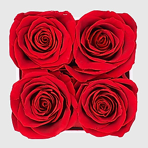 Graceful Fleurs | Real Roses That Lasts for Years | Preserved Fresh Flowers for Delivery Prime Birthday | Mothers Day Flowers Gifts | Forever Roses in a Box (Red, White Box, 4 Roses)