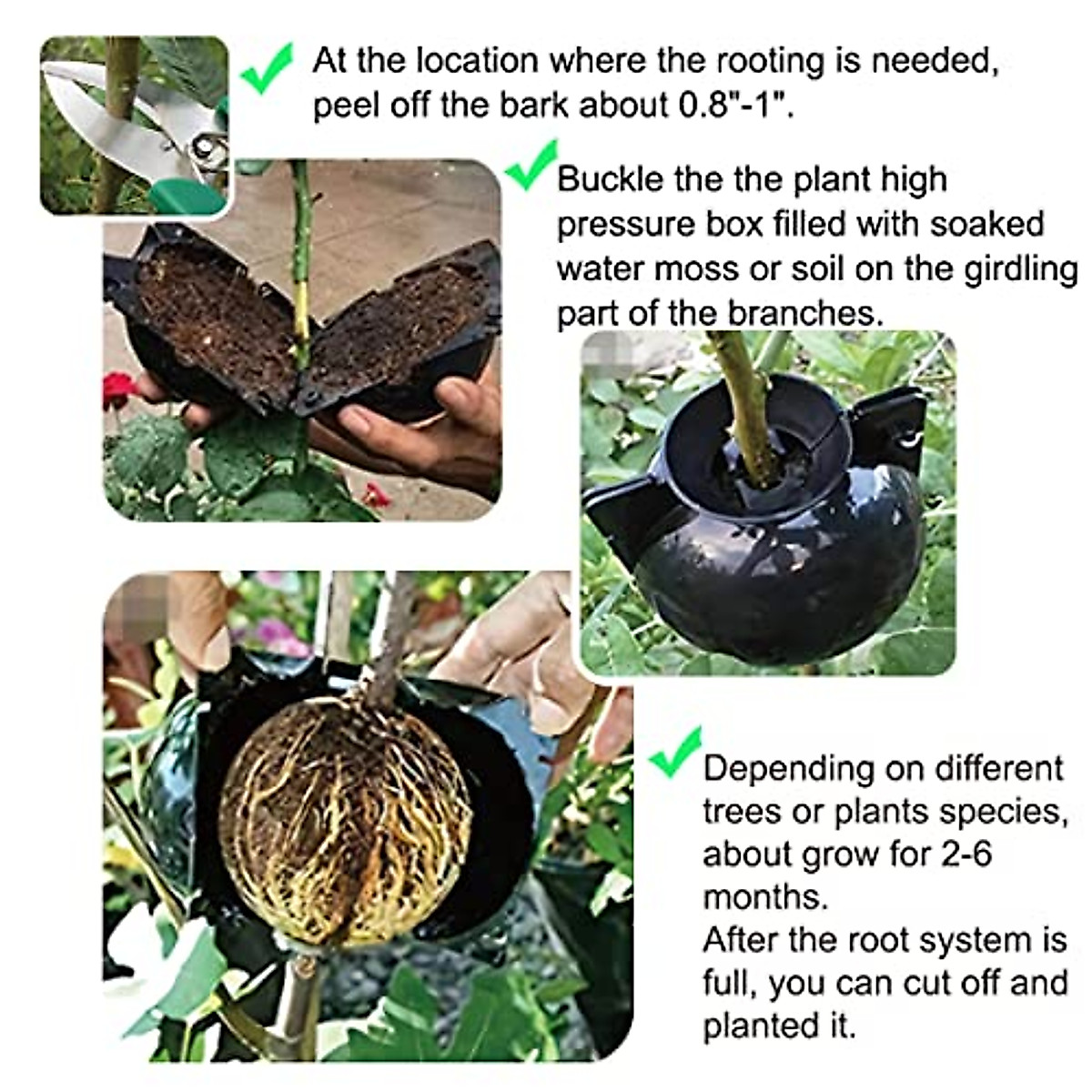 MIIIM 10 PCS Air Layering Propagation Kit with Zip Ties, Reusable Half Transparent Grafting Ball, Air Layering Pods Clear, Plant Rooting Grafting Box for Fast Propagation Plants (Medium)