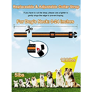 Bousnic Dog Shock Collar 2 Dogs (5-120Lbs) - 3300 ft Waterproof Training Collar for Dogs Large Medium Small with Rechargeable Remote, Beep (1-8) Vibration (1-16) and Humane Shock (1-99) Modes