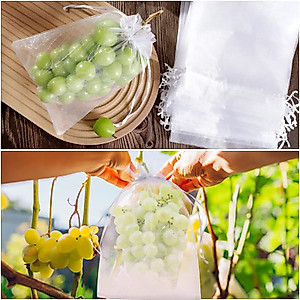 WenTao 50pcs Fruit Protection Bags 6x9 inch, White Mesh Drawstring Netting Cover Bags for Grapes, Mango, Fruit Trees, Vegetables - Pest Barrier and Fruit Protectors for Garden and Plant Fruit Flower