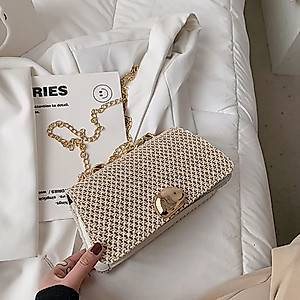 Women Mini Straw Woven Cross-body Bag Chain Strap Shoulder Bag Beach Chain Top-handle Bag