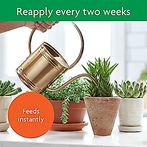 Miracle-Gro Succulent Plant Food, 8 Oz., For Succulents including Cacti, Jade, And Aloe, 1 Pack