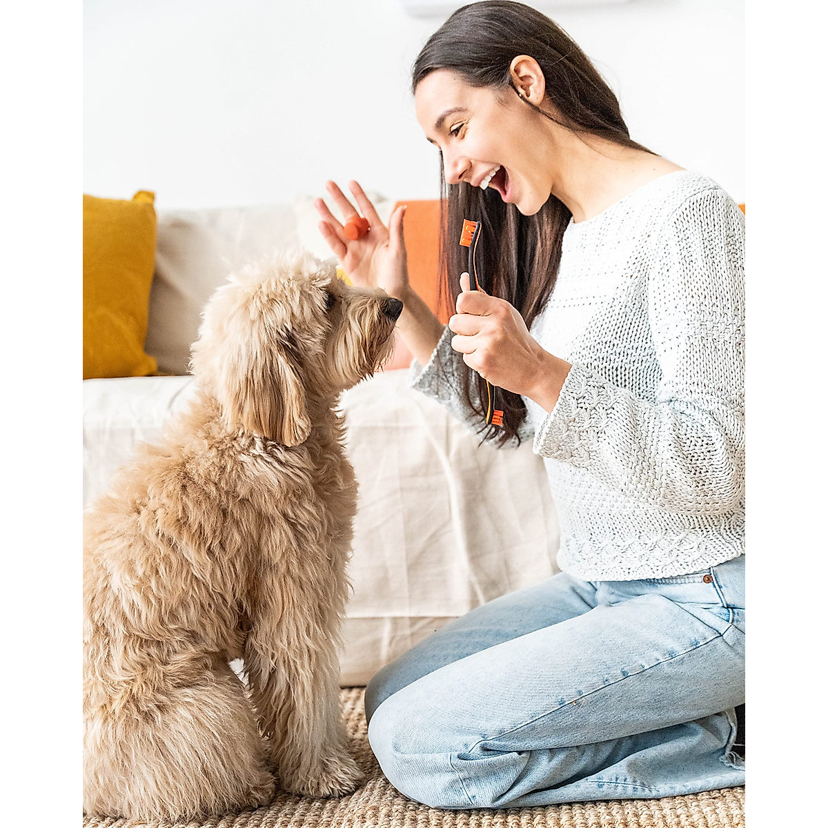 Paw Ready from Doggy Breath to Doggy Fresh Dog Dental Care Enzymatic Toothpaste for Dogs | Cleans Teeth and Freshens Breath | Safe for Puppies, Clinical Care, Banana Mint Flavor - 1 Pack 70g (2.5 oz)