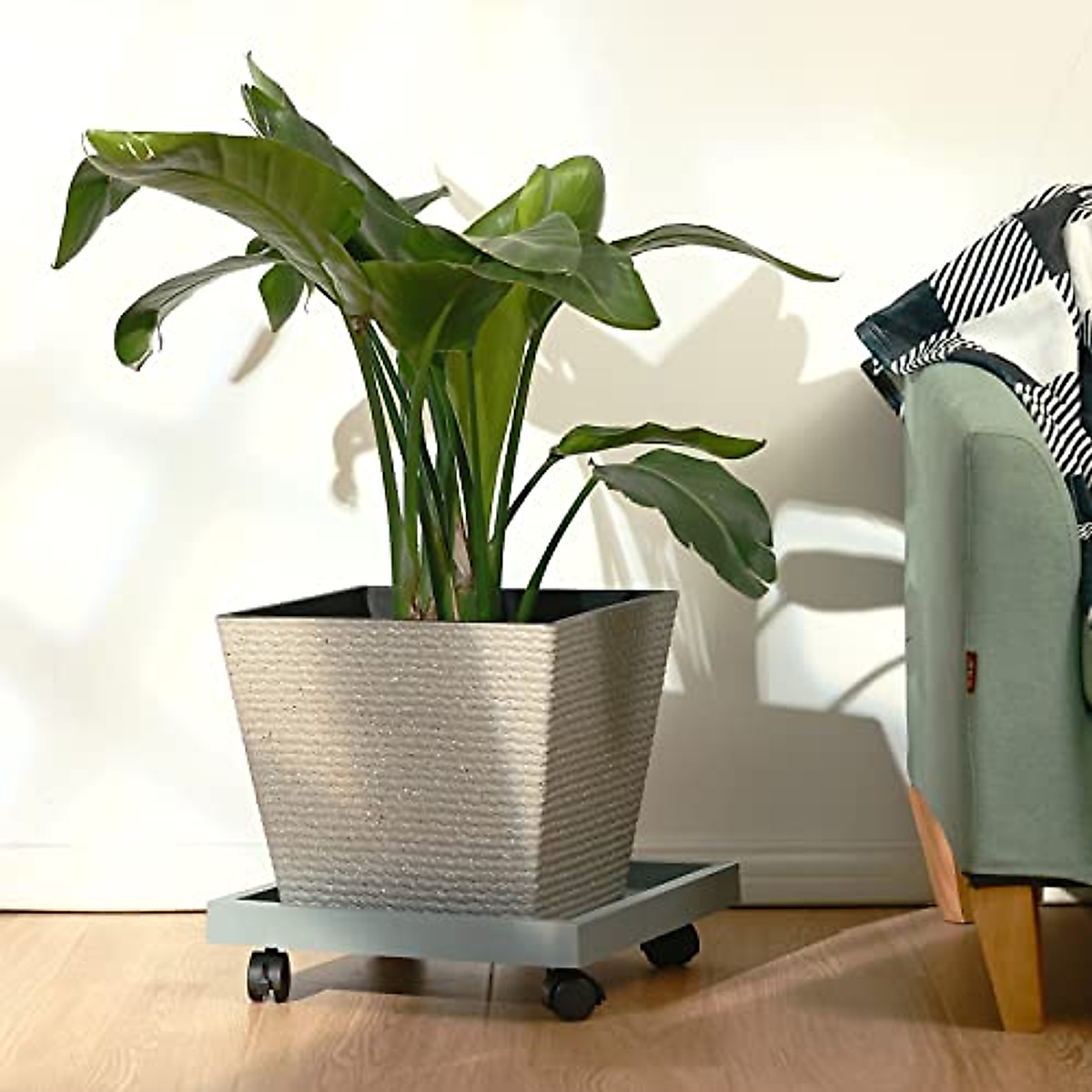 4 Packs 14 inch Square Plant Caddy with Wheels Rolling Plant Stand ...