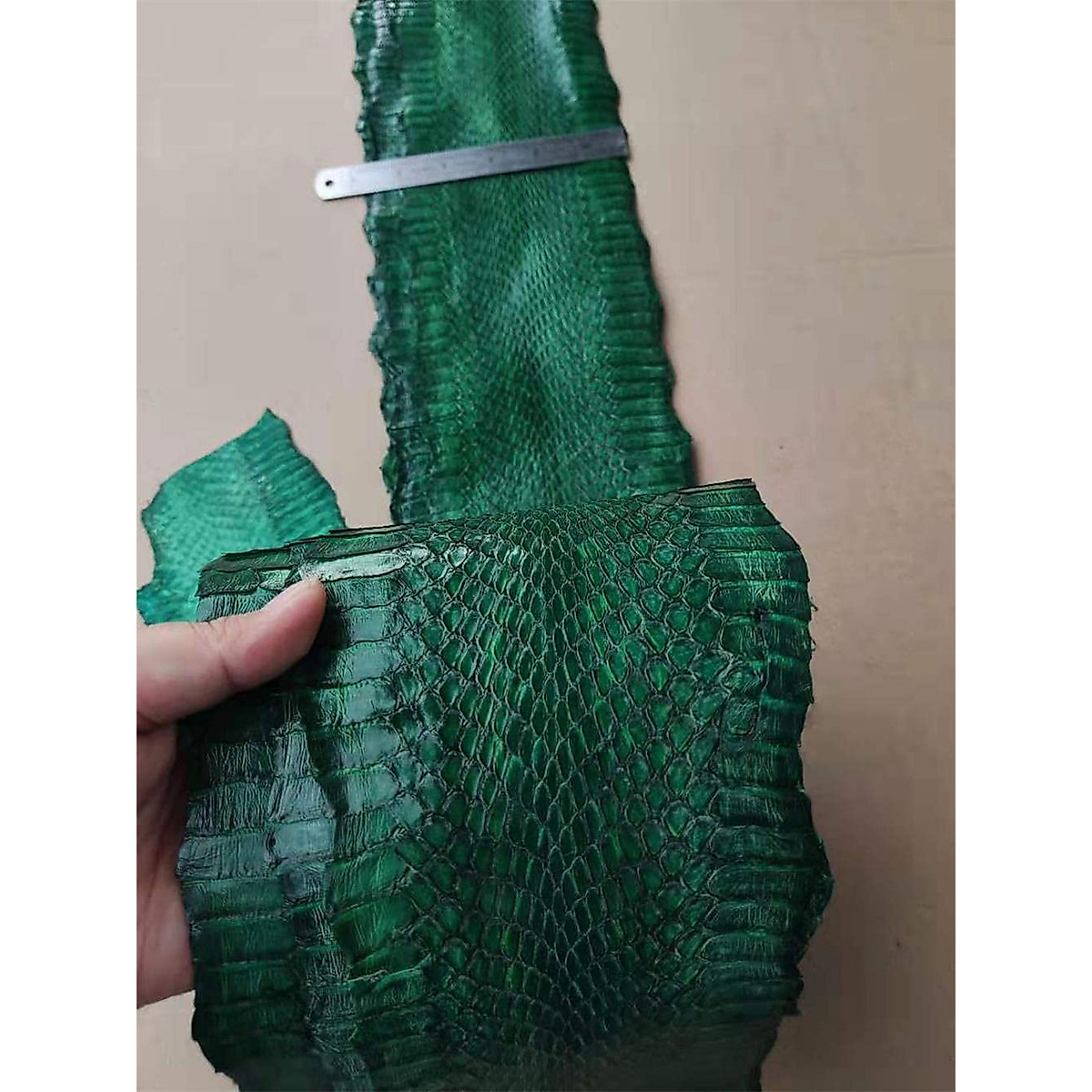 Snake Skin Snakeskin Pieces Assorted Colors Hide Leather Natural 47in (Green)