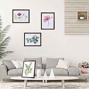 Giftgarden 11x14 Picture Frame Brown Set of 12, Multi Rustic Walnut Wood-Color 11 by 14 Photo Frames Bulk for Wall or Tabletop Display