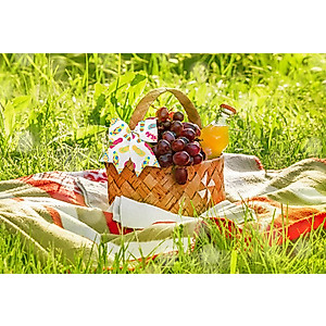 Hying 2 Rolls Summer Slipper Ribbons Wired for Wreath Bows Wrapping Gifts, Beach Slipper Dots Ribbon for Gift Wrapping Birthday Party Decoration DIY Crafts 2.5" X 10 Yards Rose Dots Wired Edge Ribbon