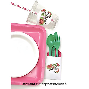 One in a Melon Cups - Watermelon 1st First Birthday Party Supplies and Favors