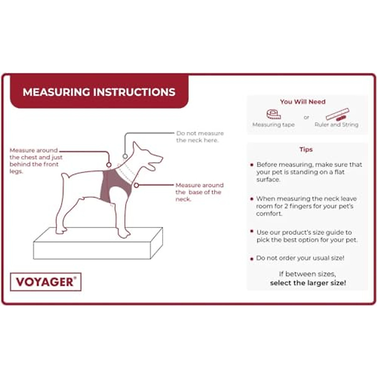 Voyager Step-in Air All Weather Mesh Harness and Reflective Dog 5 ft Leash Combo with Neoprene Handle, for Small, Medium and Large Breed Puppies by Best Pet Supplies - Set (Baby Blue), M