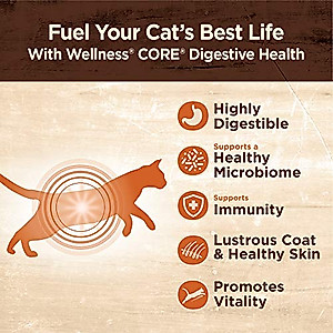 Wellness CORE Digestive Health Salmon & Rice Dry Cat Food, 5 Pound Bag