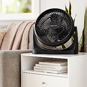 Amazon Basics 3 Speed Small Room Air Circulator Fan, 11-Inch, Blade, Black, 7.6"D x 14.8"W x 14.1"H