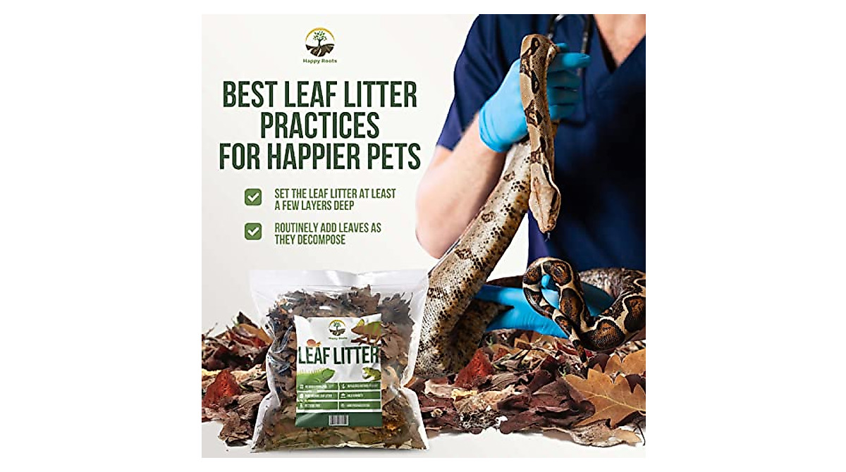 Organic Oak Leaf Litter - 4 Quarts for Terrariums