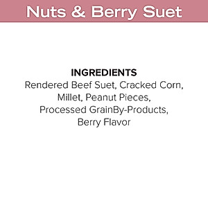 Blue Seal Nuts & Berry Suet Cake | No Mess Wild Bird Suet | 11 oz (12 Pack)