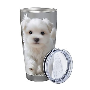 NHJKLWQSZ Cute Puppy Dog 20oz Stainless Steel Tumbler With Lid And Straw, Double Wall Vacuum Insulated Coffee Mug Travel Cups Leak-Proof Lid For Hot And Cold Drinks, Metal Straws And Brush