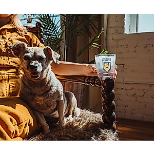 Silver Buffalo Ted Lasso 10-Ounce Mini Rocks Glasses | Set of 4