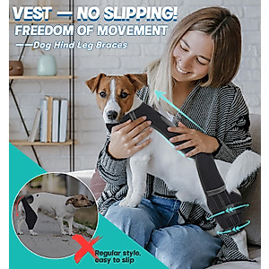 Petdream Dog Knee Brace with Vest, Support Dog Acl Brace for Hind Leg Torn, Adjustable Dog Rear Leg Braces for Cruciate Ligament Injury, Joint Pain Relief and Arthritis (Double, 3)