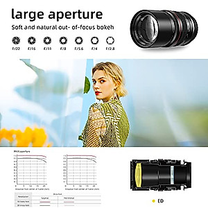 Lightdow 135mm f/2.8 FE UMC Full Frame Telephoto Lens for Canon Rebel EOS 80D 77D 70D 60D 50D 7D 6D 5D 5DS 1DS T7i T7s T7 T6s T6i T6 T5i T5 T4i SL2 and SL1 Digital SLR Cameras Black