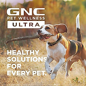 GNC Pets Ultra Calming Soft Chews, All Dogs, Peanut Butter Flavor. 15-oz Canister | Calming Dog Supplements | Calming Chews for Dogs in Peanut Butter Flavor, 60 Count