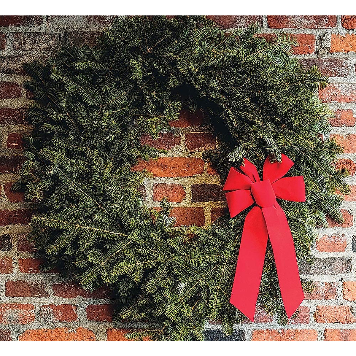 Red Velvet Ribbon Wired Christmas Ribbons 2.5 Inch Wide Wired-Edge Trim - Floral & Gift Wrapping Bow, Indoor Outdoor Christmas Tree Bows/Winter Wedding Ribbons Xmas Trees Crafts & Gifts (10)