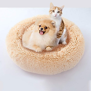 Luxury Fur Donut Cuddler Round Cat and Dog Cushion Bed Self-Warming and Cozy for Improved Sleep (Big Size, Beige)