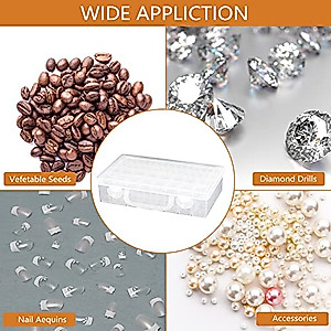 OPELETNNT 48 Slots Plastic Seed Storage Organizer Box in 2 Size,Transparent Reusable Seed Container Organizer with Label Stickers, Garden Seed Storage Organizer Container for Seeds, Plant, Vegetable