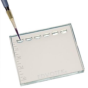 DNA DuraGel, for 12 to 24 Students