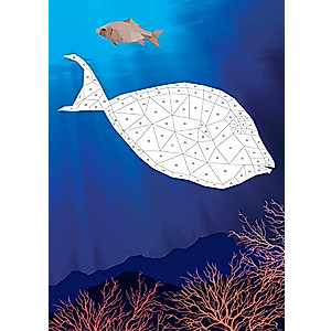 Sticker by Number Nature - 12 Designs Including Mountains, Waves, Flowers, Fish, Frogs, Birds, Dragonfly & More