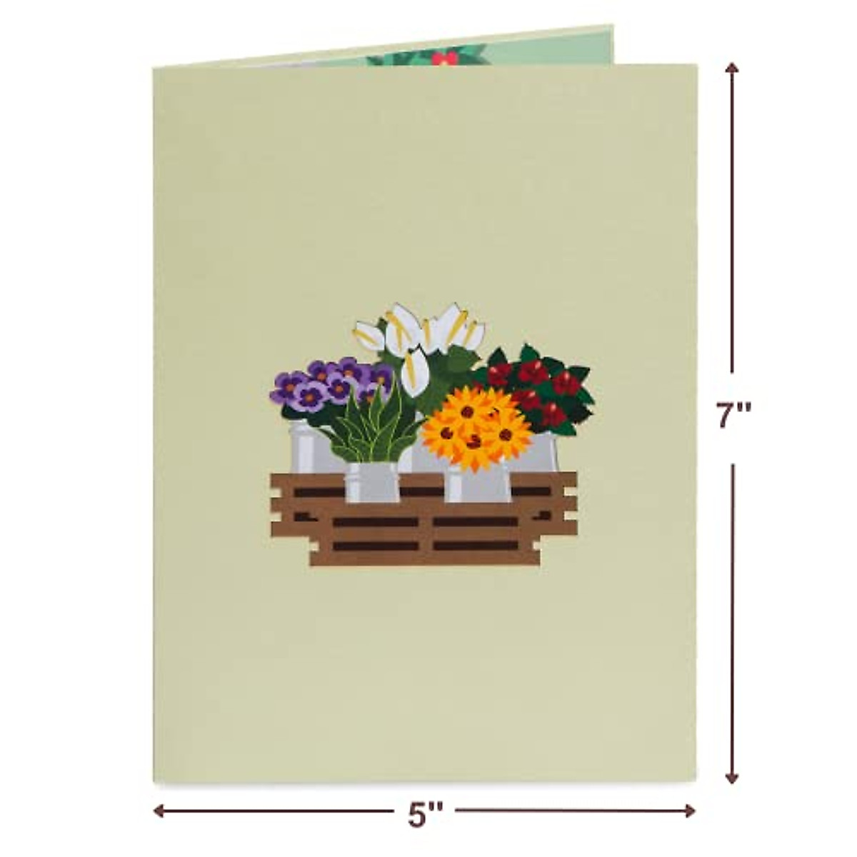 Paper Love Flower Truck 3D Pop Up Card, Gift for Birthday, Wedding, Anniversary, Thank You, Get Well, All Occasion or Just Because - 5" x 7" Cover - Includes Envelope and Note Tag