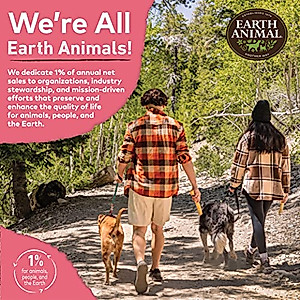 EARTH ANIMAL No Hide Medium Salmon Flavored Natural Rawhide Free Dog Chews Long Lasting Dog Chew Sticks | Dog Treats for Large Dogs | Great Dog Chews for Aggressive Chewers (1 Pack)