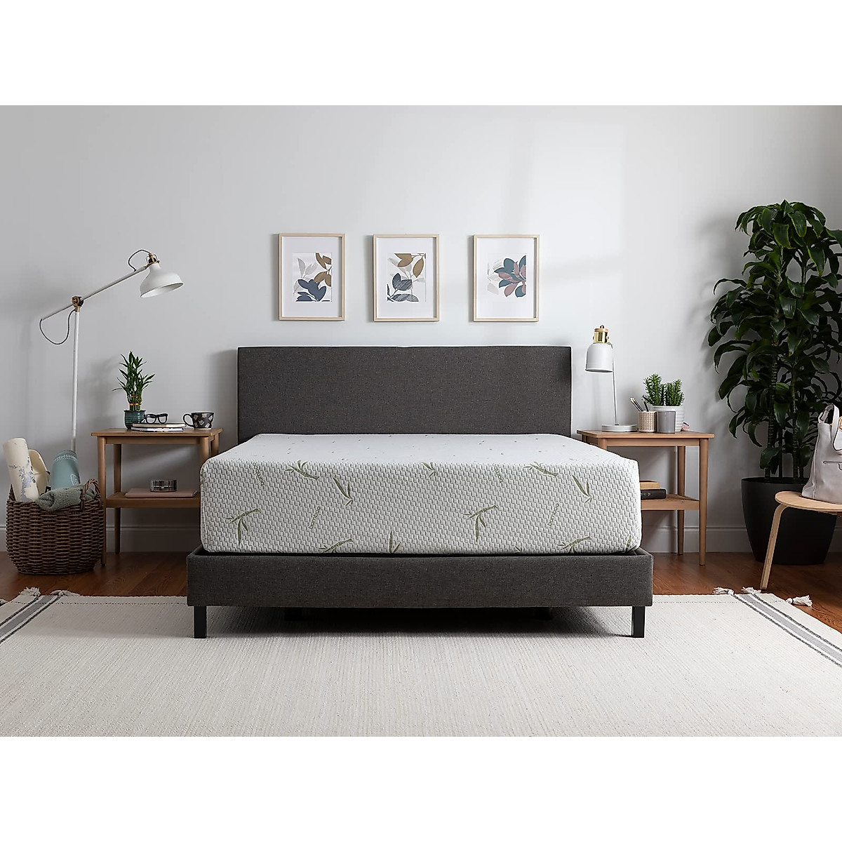 Tulo 12" Medium-Plush Memory Foam Bamboo Pressure Relief Mattress in a Box | Full Size