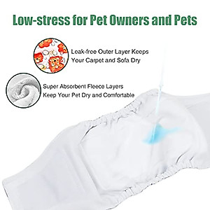 Wegreeco Washable Male Dog Belly Band (Stylish Pattern)- Pack of 3 - Washable Male Dog Belly Wrap, Dog Diapers Male (M, Magic)