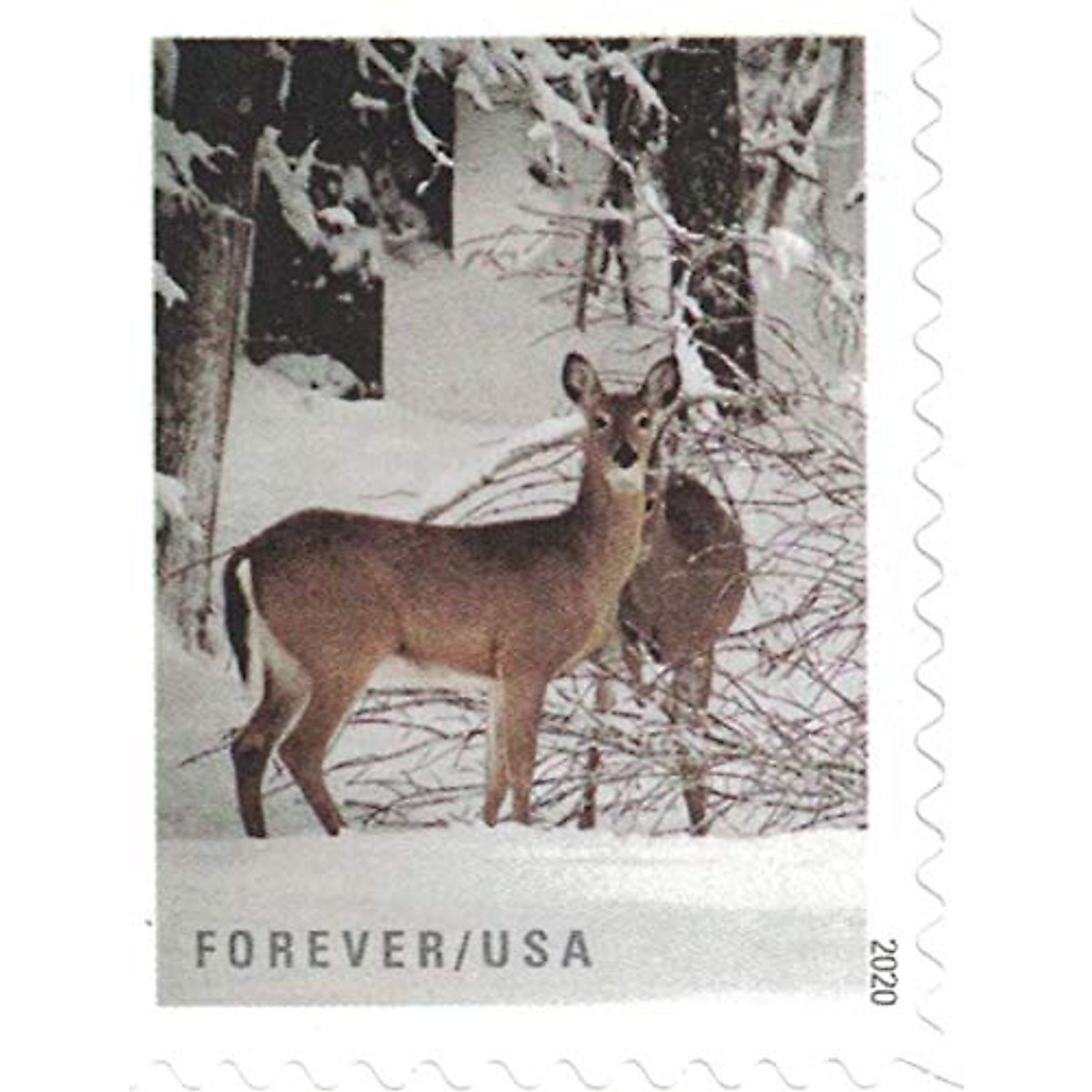 USPS Forever Stamps Winter Scenes - Book of 20 Postage Stamps